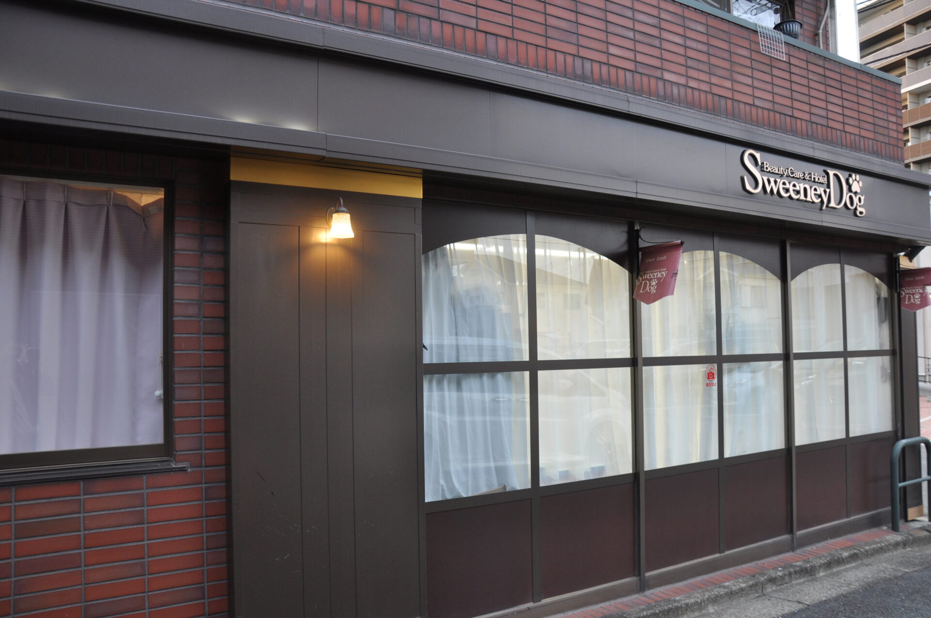 ペット撮影 – Sweeney dog